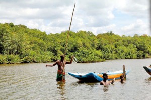 Keeping the marsh: The people-friendly approach | Times Online - Daily ...