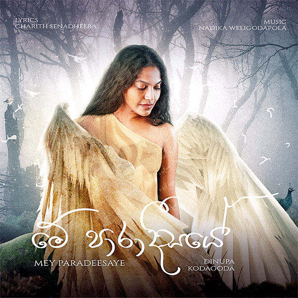 Dinupa Kodagoda walks through ‘Paradise’ | Print Edition - The Sunday ...