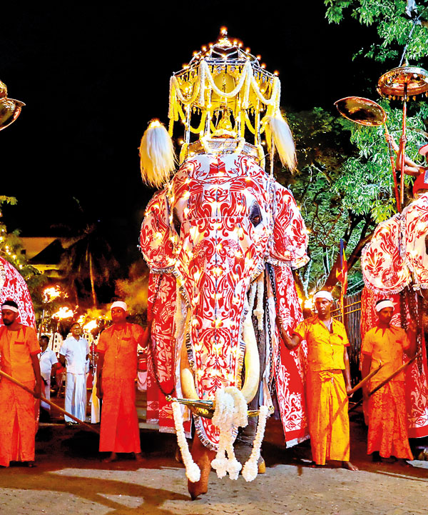 ‘Kandula’ makes maiden appearance | Print Edition - The Sunday Times ...