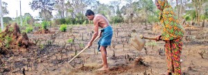In debt we trust | Print Edition - The Sunday Times, Sri Lanka