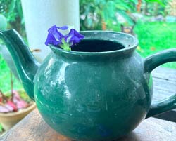 Nil Katarolu: A flower worth savouring | Print Edition - The Sunday ...